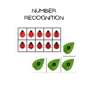Ladybug Activity Pack | Counting | Numbers | Alphabet Matching ...