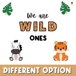 JUNGLE BULLETIN BOARD | Animal Theme | Visual Schedule | Display Board ...