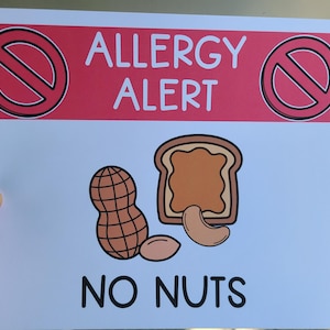 Allergy Alert Posters | Classroom Poster Signs | Decor | Visual ...