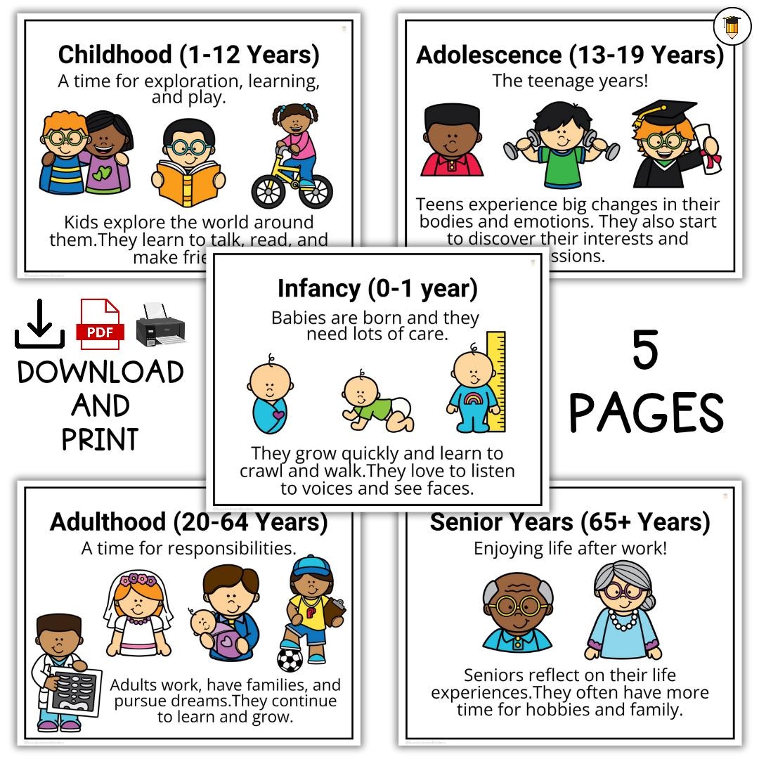 Lifecycle of a Human | Printable Science Posters | Growth and ...