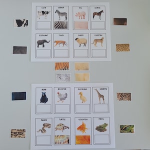 Animal Print | Matching Sorting Activity | Animal Activities | Busy ...