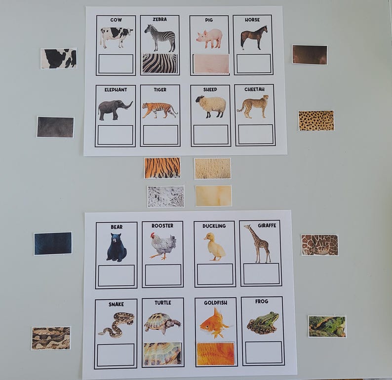 Animal Print | Matching Sorting Activity | Animal Activities | Busy ...