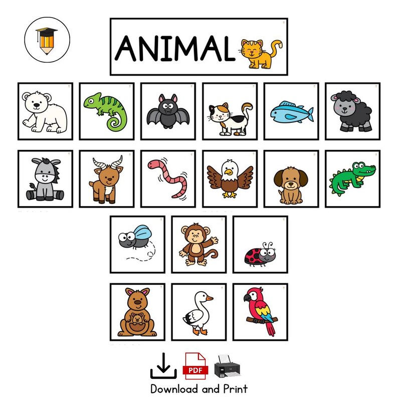NOUN SORTING | Nouns Picture Cards | Language | Vocabulary | Printable ...