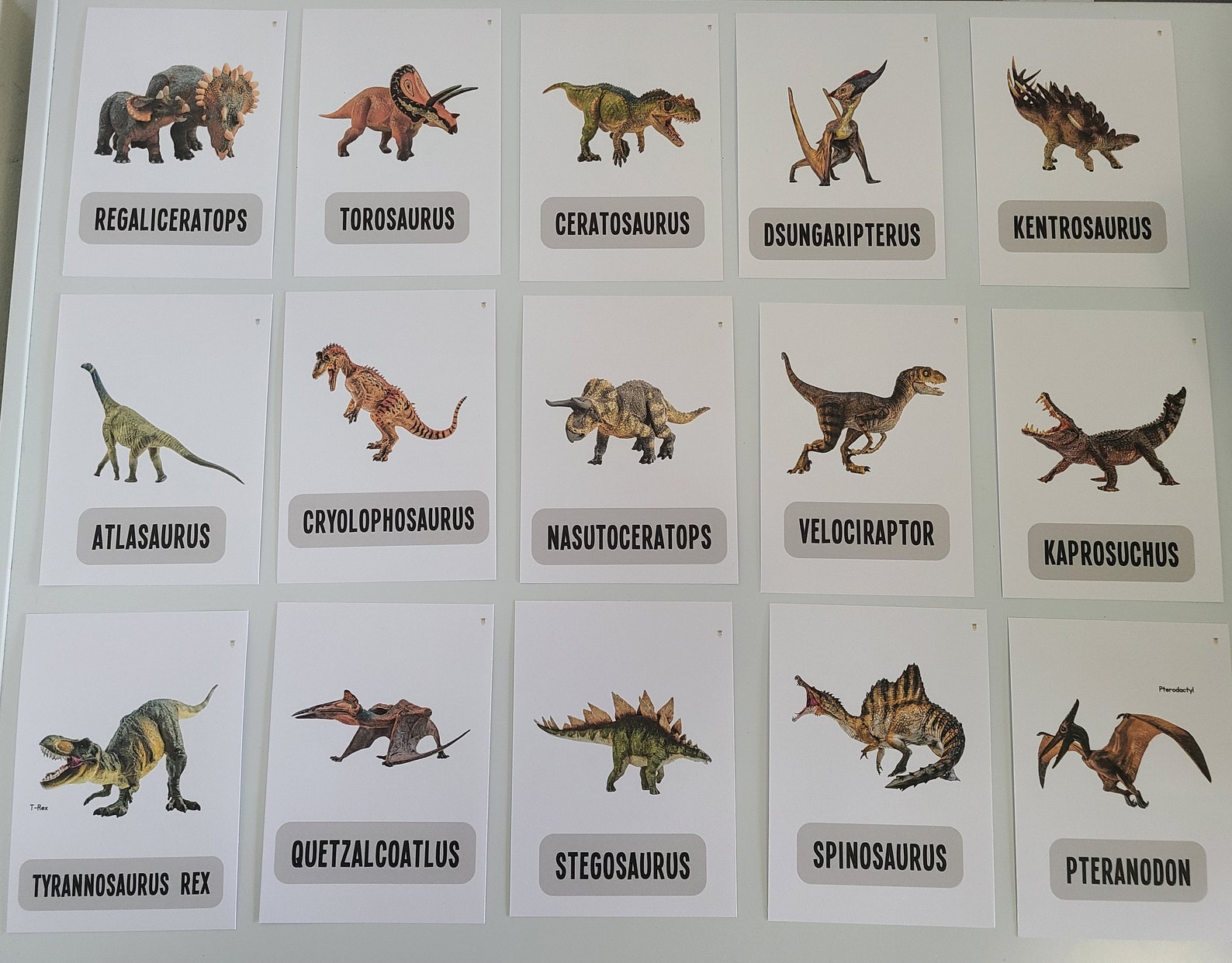 30 Dinosaur Posters | Dinosaurs | Bulletin Board | Prehistoric ...