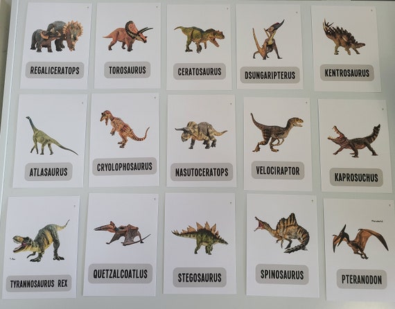 Tableau D'identification Des Dinosaures Pour Les Enfants