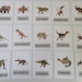 30 Dinosaur Posters | Dinosaurs | Bulletin Board | Prehistoric ...