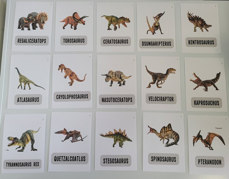 30 Dinosaur Posters | Dinosaurs | Bulletin Board | Prehistoric ...