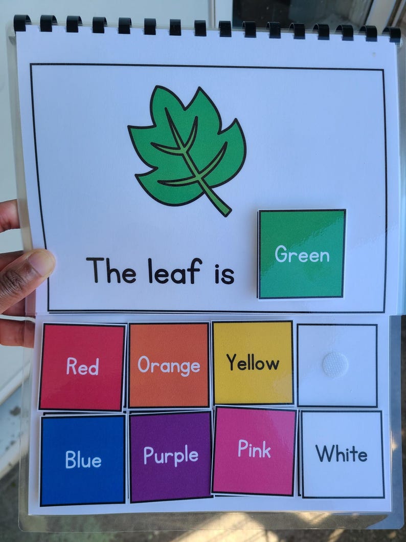 Printable Book: Color Matching | Sorting | File Folder Games | Learn ...