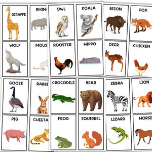 Animal Print Flashcards | Matching Sorting Activity | Animal Activities ...