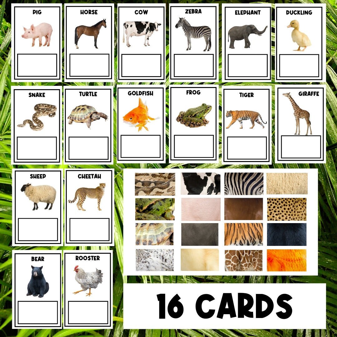 Animal Print | Matching Sorting Activity | Animal Activities | Busy ...