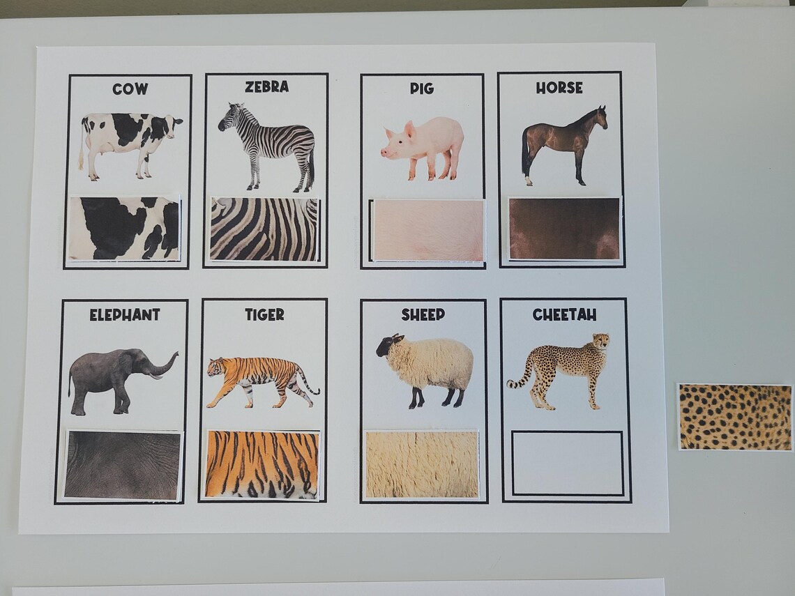 Animal Print | Matching Sorting Activity | Animal Activities | Busy ...