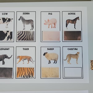 Animal Print | Matching Sorting Activity | Animal Activities | Busy ...