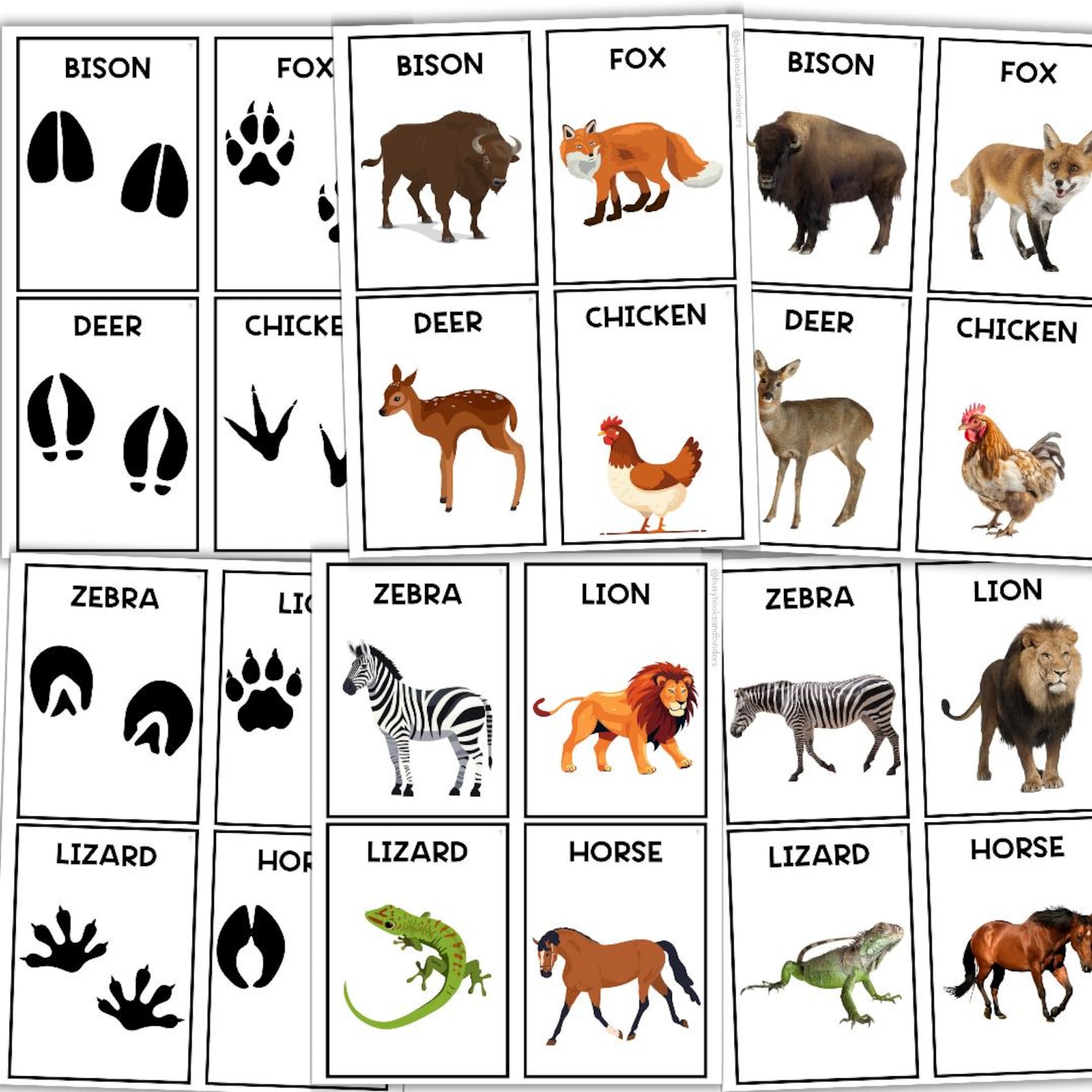 Animal Print Flashcards | Matching Sorting Activity | Animal Activities ...