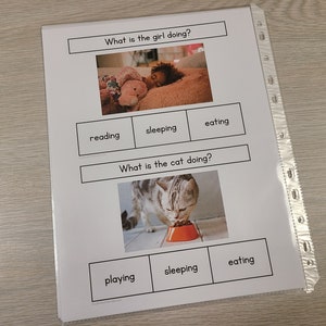 WHAT | WH Questions | Functions Task Cards | Which One | Speech Therapy ...