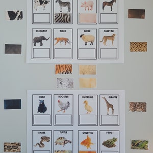 PHYSICAL COPY: Animal Print | Matching Sorting Activity | Animal ...