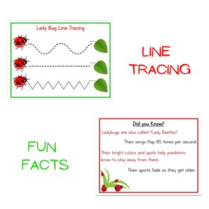 Ladybug Activity Pack | Counting | Numbers | Alphabet Matching ...