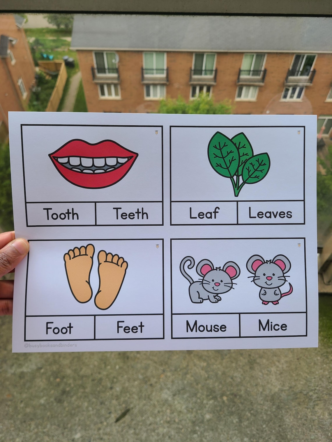 Plural Nouns Task Cards | Nouns Picture Cards | English Language ...