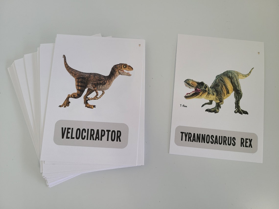 30 Dinosaur Posters | Dinosaurs | Bulletin Board | Prehistoric ...