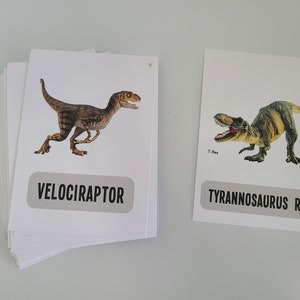 30 Dinosaur Posters | Dinosaurs | Bulletin Board | Prehistoric ...