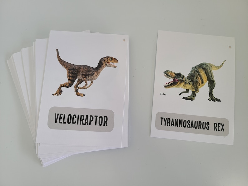 30 Dinosaur Posters | Dinosaurs | Bulletin Board | Prehistoric ...