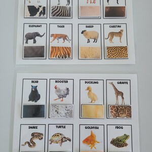 Animal Print | Matching Sorting Activity | Animal Activities | Busy ...