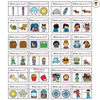 Intraverbal: Class / Category Task Cards (aligned With ABLLS-R H14, H15 ...