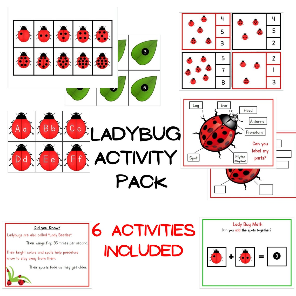 Ladybug Activity Pack Counting Numbers Alphabet Matching - Etsy