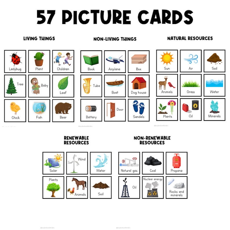 Science Sorting Worksheets Grade One Grade Two Grade 3 5315