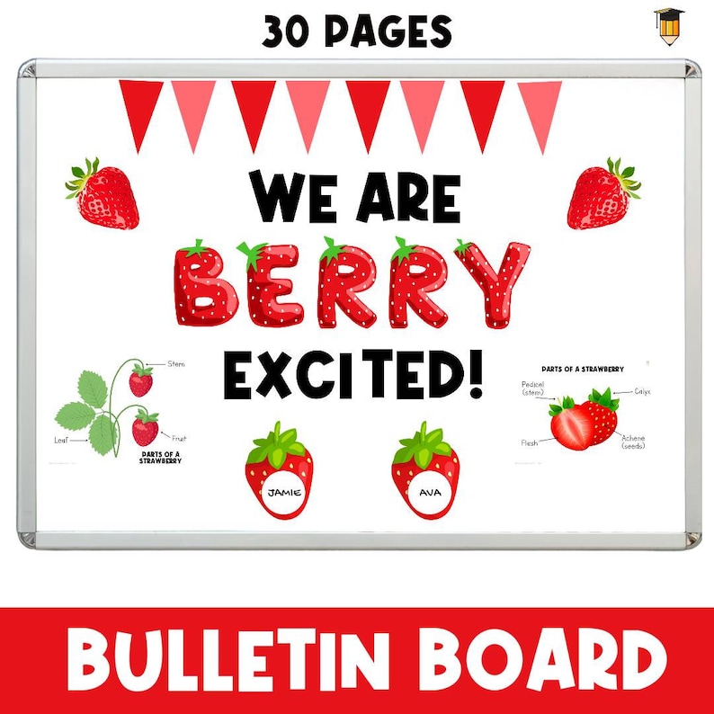 STRAWBERRY Bulletin Board | Summer Theme | Visual Schedule | Display ...