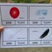 32 Sink or Float Task Cards | Observation Skills | Science Experiment ...