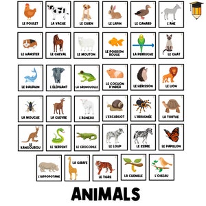 250 FRENCH | Picture Cards | First Then Board | Visual Aid | Schedule ...