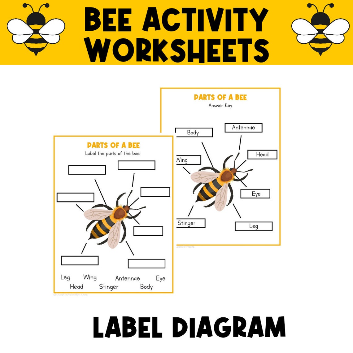 Bees Activities Bee Lifestyle Stages Counting Tracing | Etsy