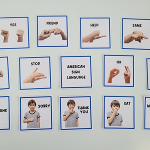 PHYSICAL COPY: ASL Hand Gestures | Sign Language Flashcards ...