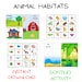 SCIENCE SORTING MATS Sorting Activities File Folder Games Learn Colours ...