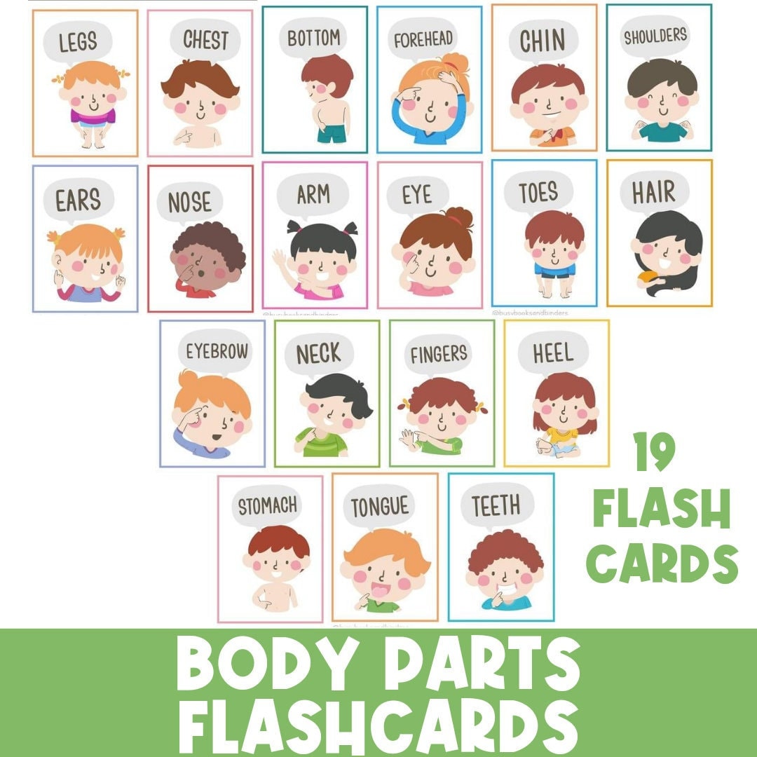 Human Anatomy | Body Parts | Body Organs | Montessori Cards | Flash ...
