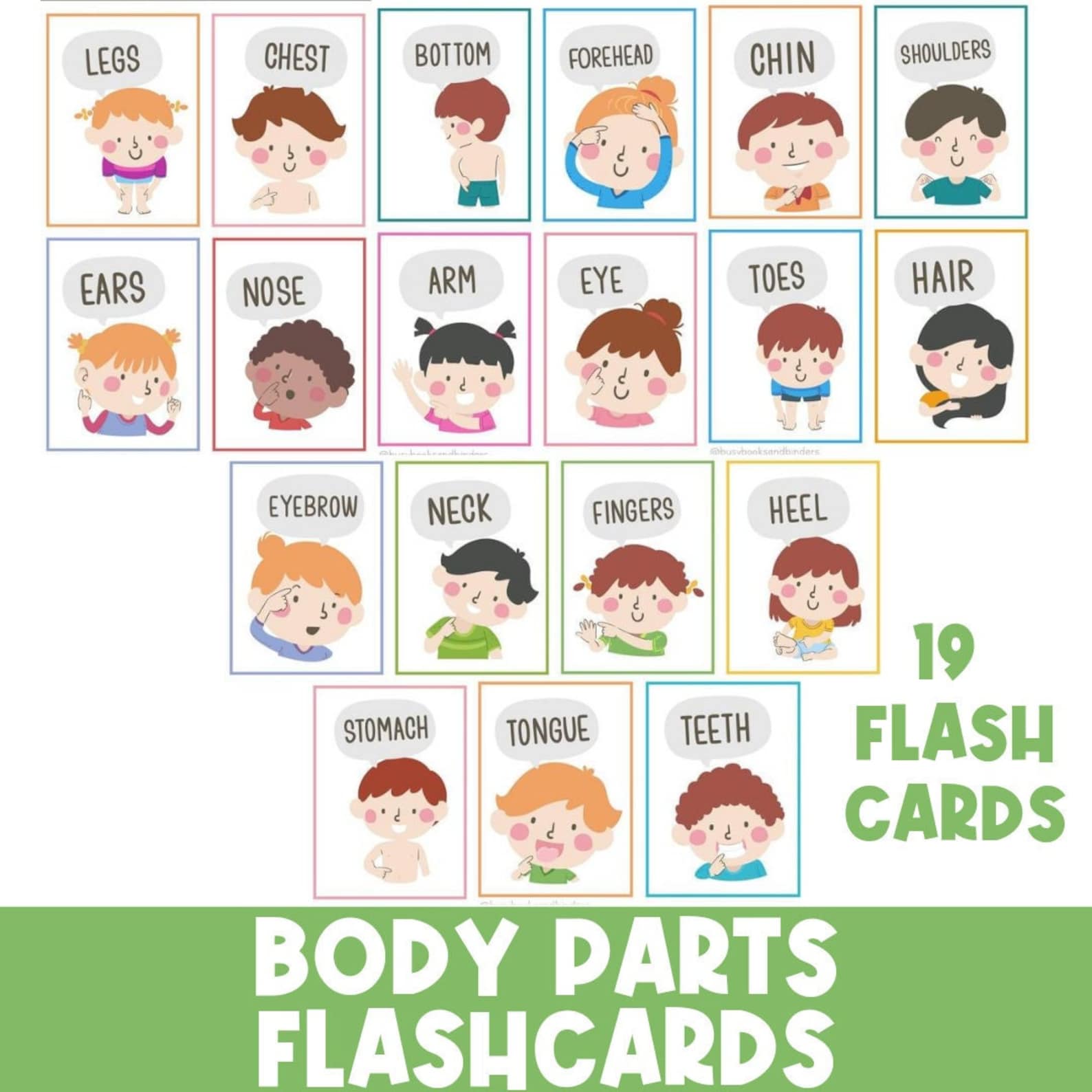 Human Anatomy Body Parts Body Organs Montessori Cards Flash Cards ...