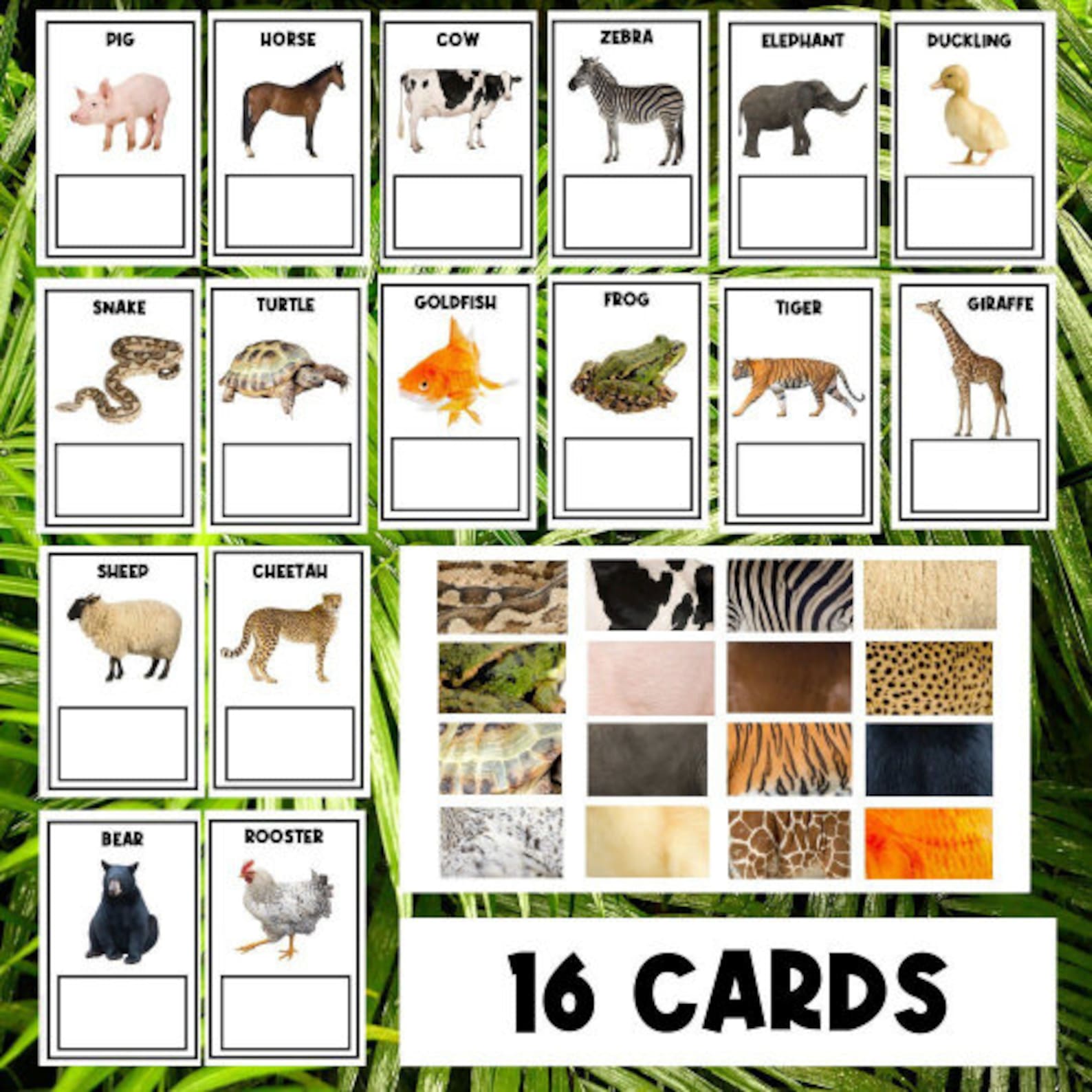 60 ANIMAL CARDS | Farm Animals | Zoo Animals | Wildlife Animals ...