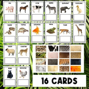 60 ANIMAL CARDS | Farm Animals | Zoo Animals | Wildlife Animals ...