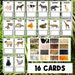 60 ANIMAL CARDS | Farm Animals | Zoo Animals | Wildlife Animals ...