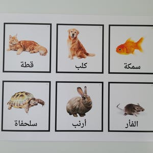 168 Arabic Flashcards | Arabic Alphabet Letters | Arabic Picture Card ...