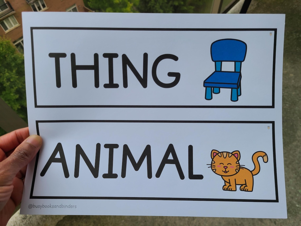 NOUN SORTING | Nouns Picture Cards | Language | Vocabulary | Printable ...