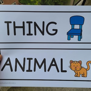 NOUN SORTING | Nouns Picture Cards | Language | Vocabulary | Printable ...