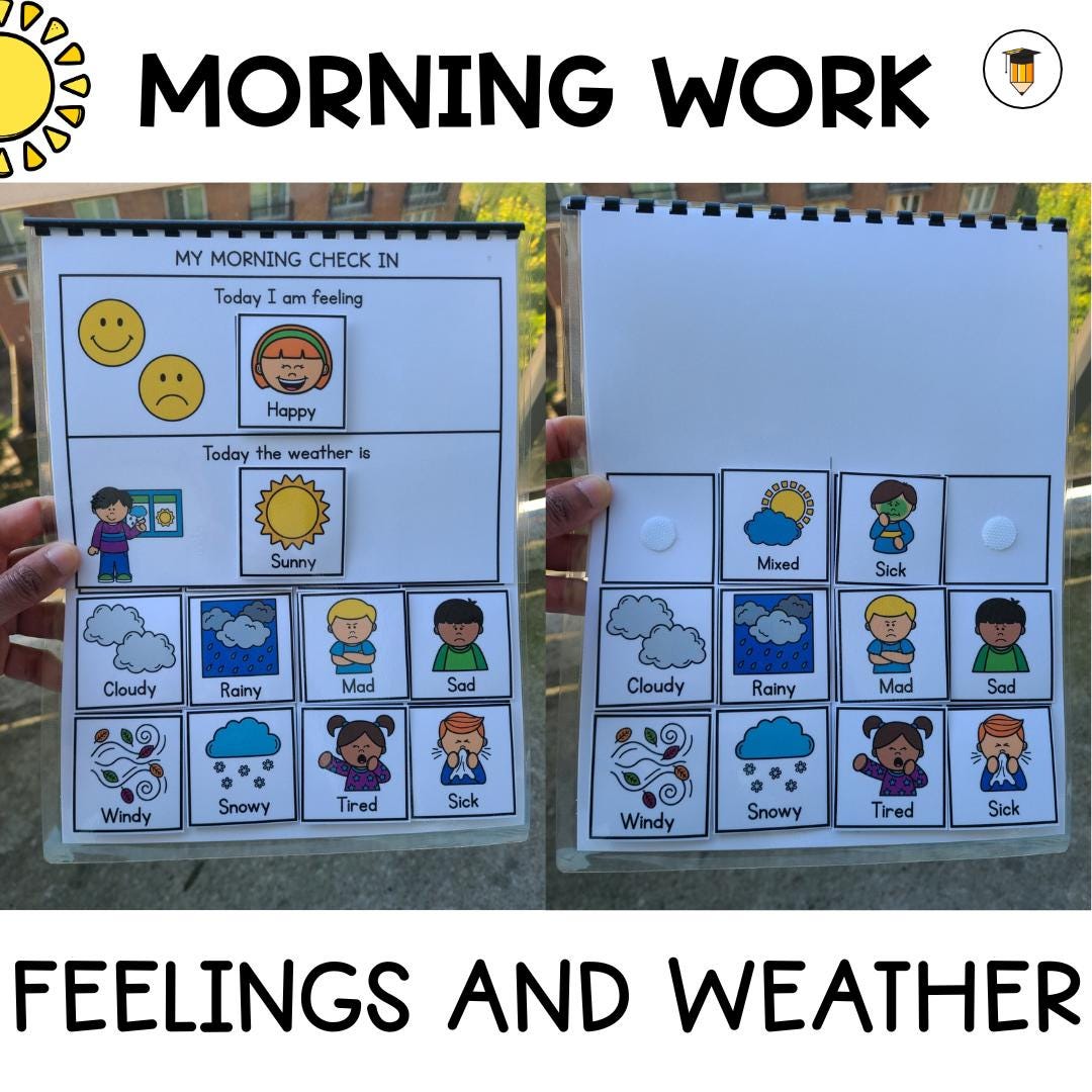Printable Book: Feelings and Weather | Sorting | File Folder Games ...