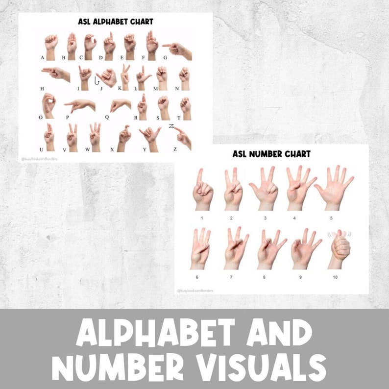 REAL PICTURES: Alphabet Hand Signs Sign Language Flashcards - Etsy