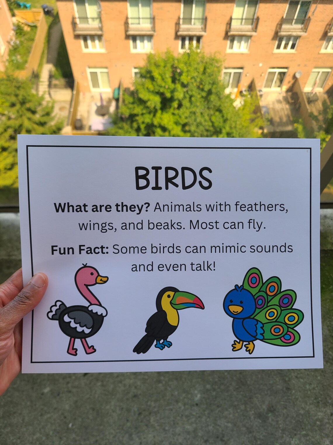 Animal Classification: Habitats | Animal Sorting | Animal Activities ...