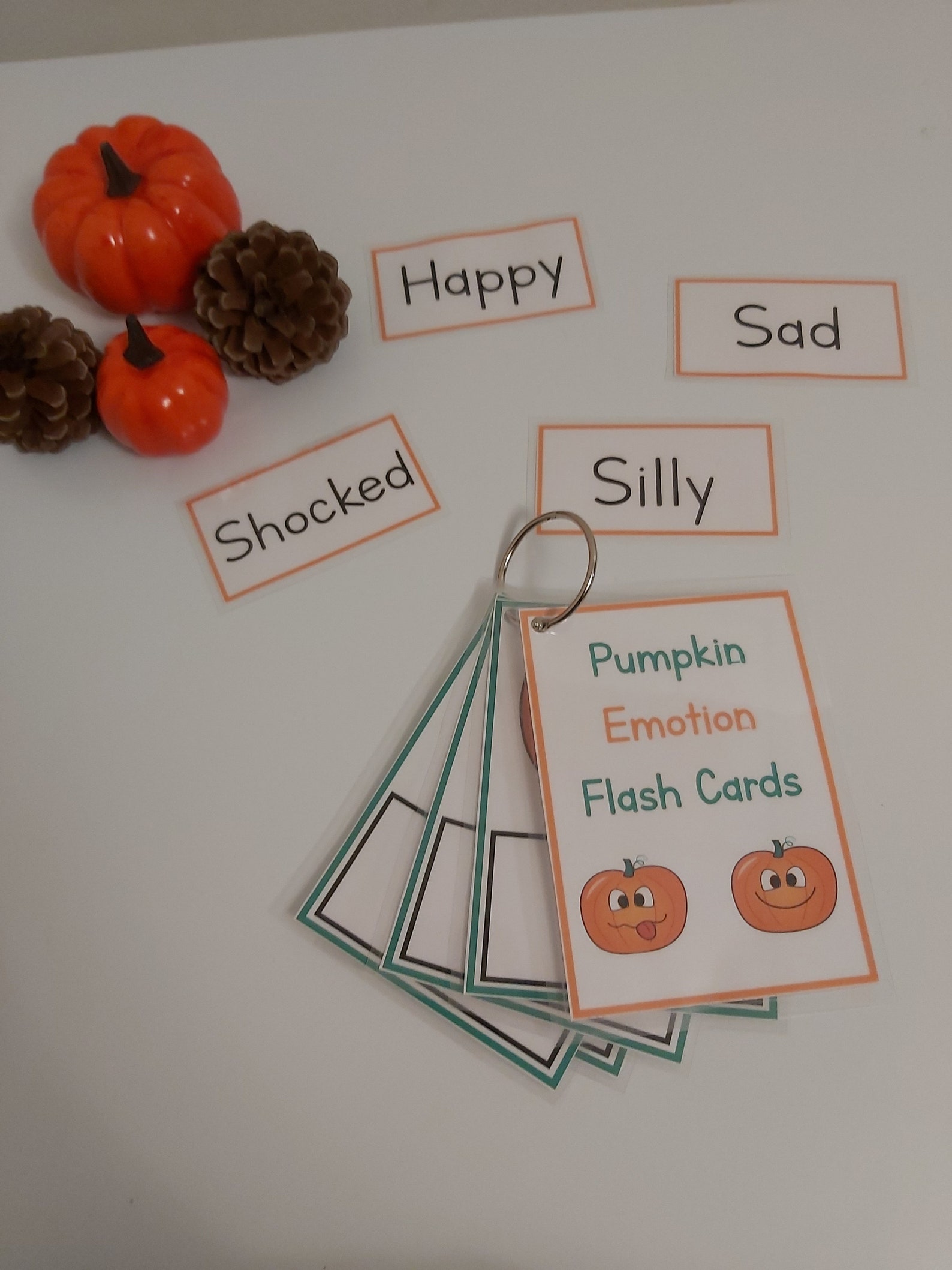 Pumpkin Emotions Flash Cards Flashcards for Kids - Etsy