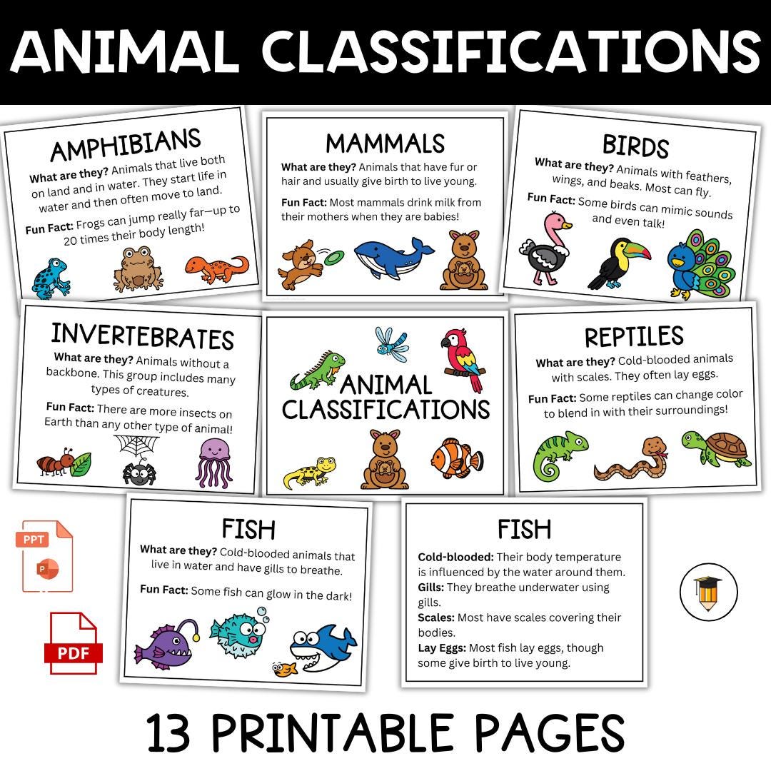 Animal Classification: Habitats | Animal Sorting | Animal Activities ...
