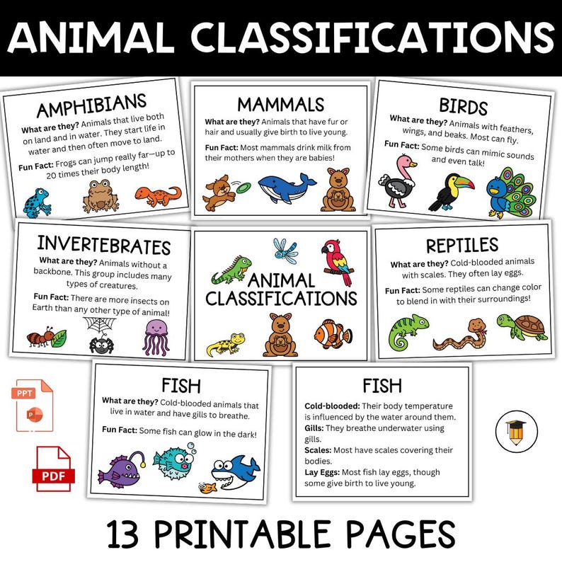 Animal Classification: Habitats | Animal Sorting | Animal Activities ...