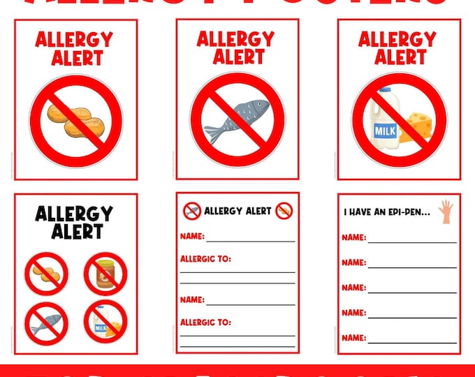 Allergy Alert | Classroom Poster Signs | Decor | Visual | Printable ...