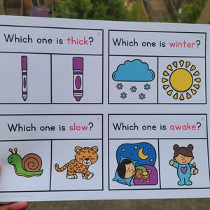 24 WH Questions | Functions Task Cards | Which One | Speech Therapy ...